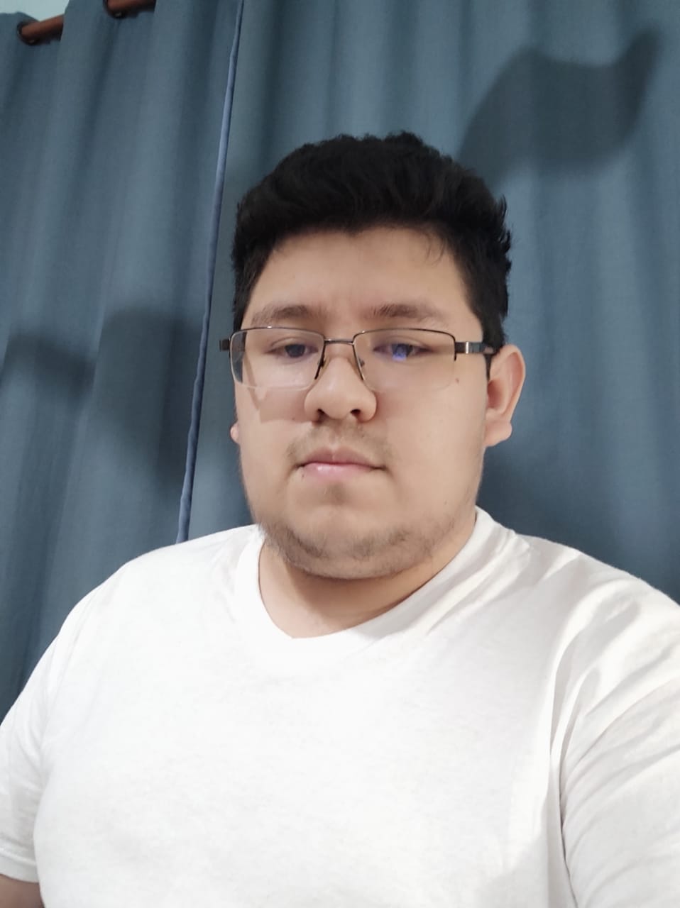 GitHub - Joel-Ruiz/ProyectoFinal-IHC