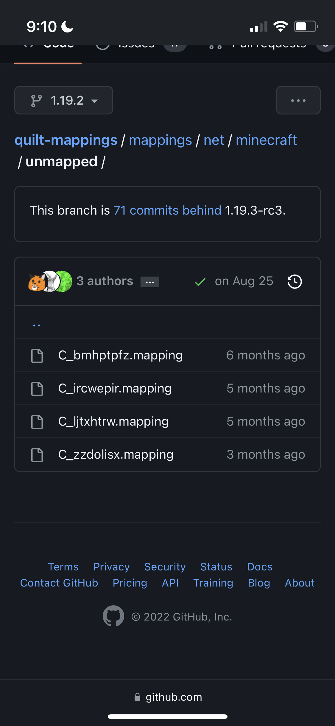 Unmapped classes get mapped to hashed in the named publication · Issue #304 · QuiltMC/quilt ...