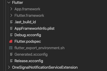 [iOS] framework not found Flutter after upgrade Flutter stable version 1.17.0 · Issue #56642 ...