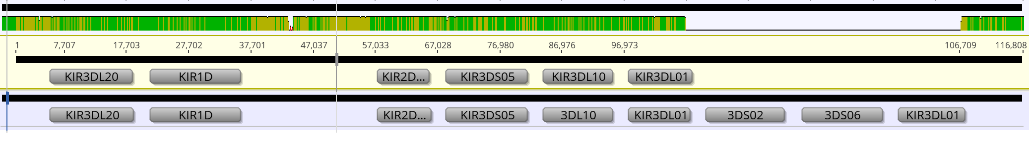 Error when using .SAM file · Issue #179 · schneebergerlab/syri · GitHub