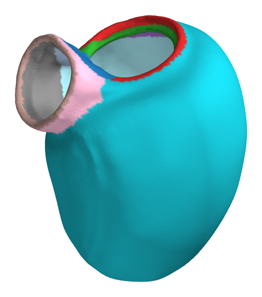 GitHub - Nobregaigor/Project-Heart: Autonomous patient-specific living heart simulator