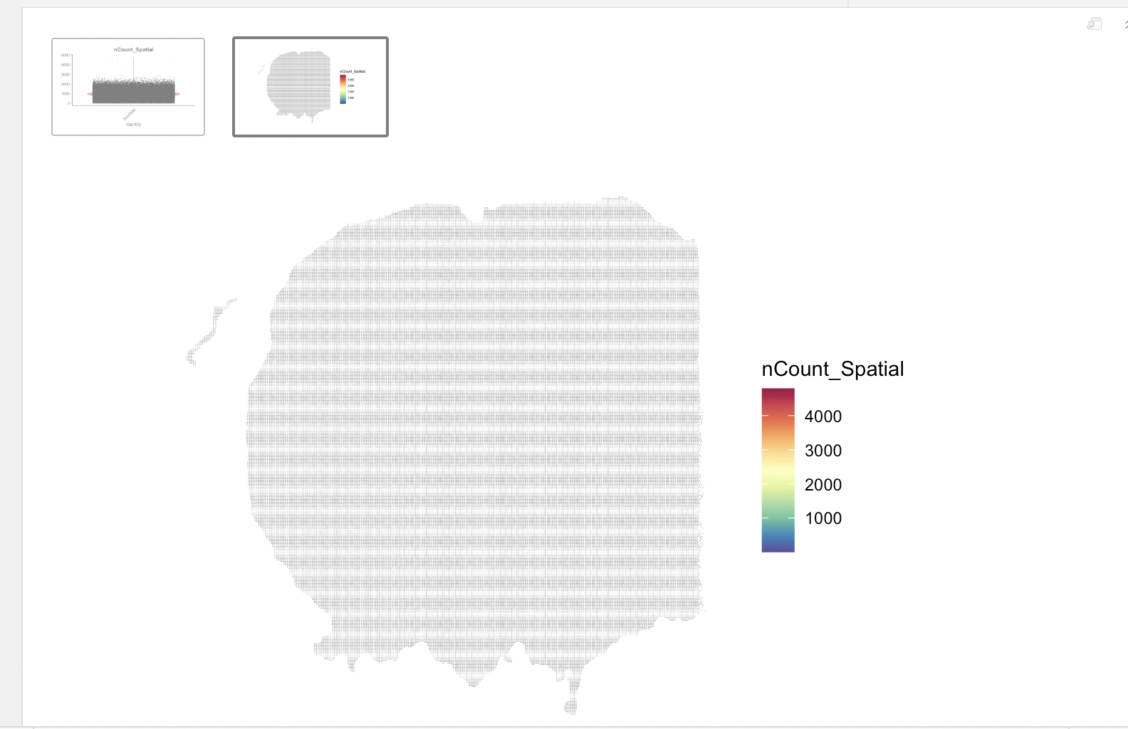 SpatialFeaturePlot() fails to generate the plot of Seurat object converted from Stereopy h5ad ...