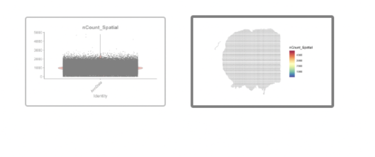 Spatialfeatureplot Fails To Generate The Plot Of Seurat Object Converted From Stereopy H5ad 