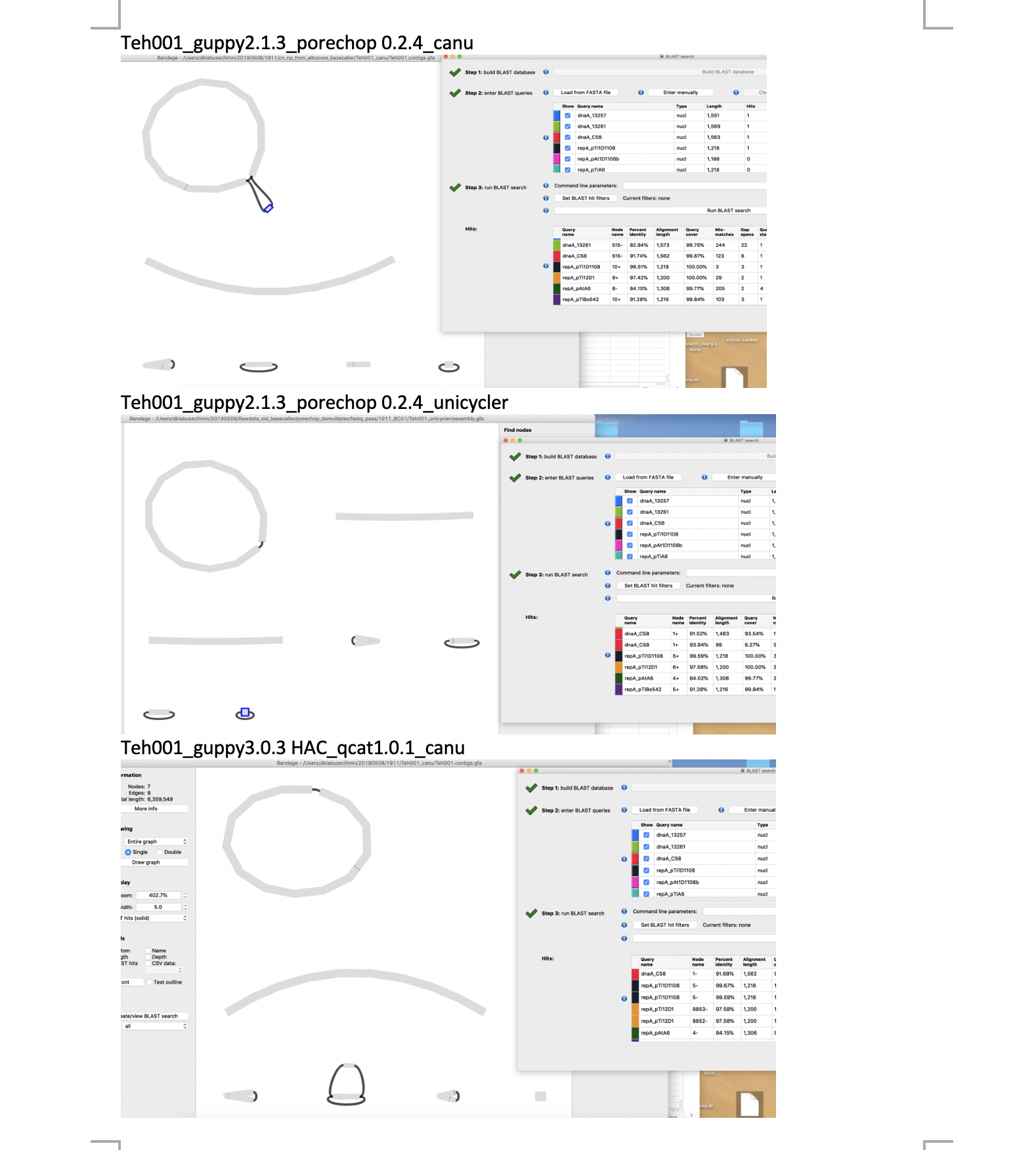 Interesting structure with canu and nanopolish · Issue #1423 · marbl/canu · GitHub