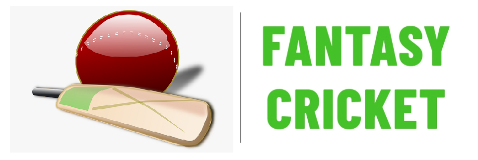 GitHub - rogue-wild/Fantasy-Cricket-Game: This is a Python GUI Game ...