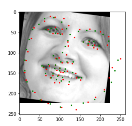 GitHub - Officialshubham/FaceLandmarksDetection