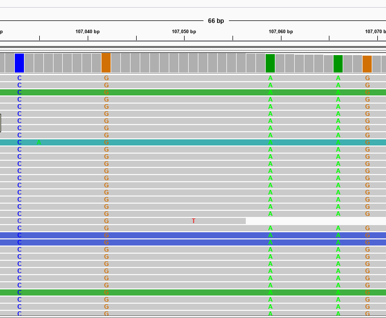 Missing mpileup records · Issue #1311 · samtools/bcftools · GitHub