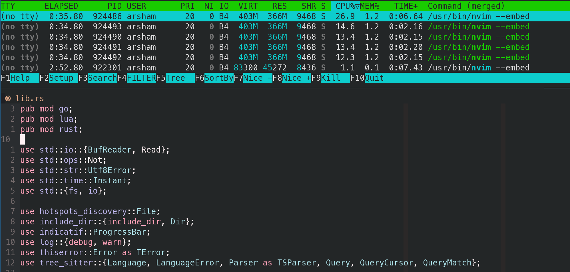 Starting rust analyzer occasionally causes neovim to crash. · Issue #23425 · neovim/neovim · GitHub