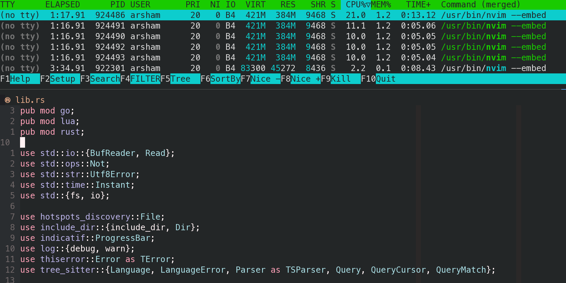 Starting rust analyzer occasionally causes neovim to crash. · Issue ...