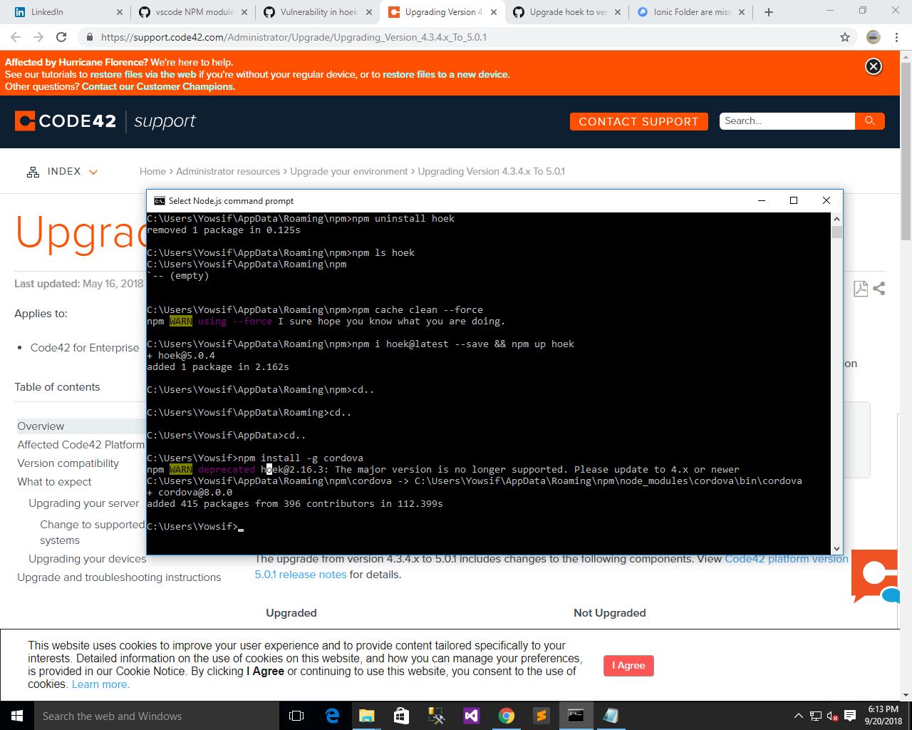 npm WARN deprecated hoek@2.16.3: The major version is no longer supported. Please update to 4.x ...