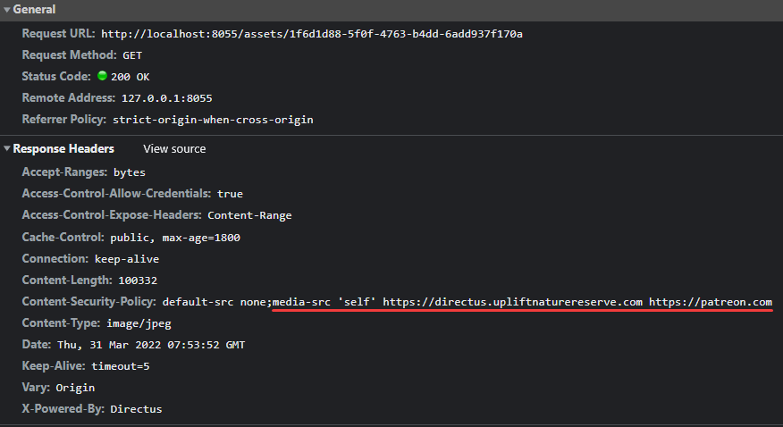 Content-Security-Policies · Issue #12493 · directus/directus · GitHub