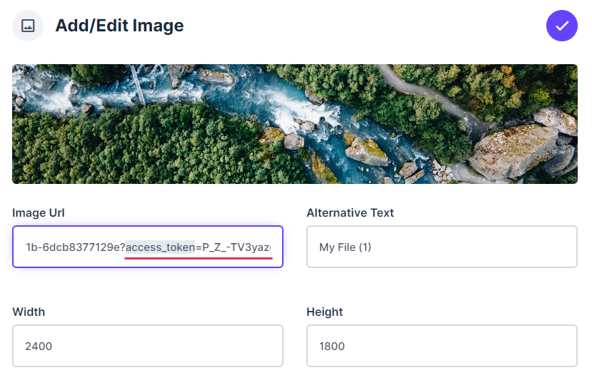 Allow setting static access token for WYSIWYG editor in Flows Email operation · Issue #15775 ...