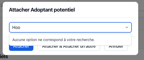 Custom searchable fields for attachForm · Issue #1334 · filamentphp/filament · GitHub