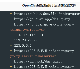 [Bug] DNS配置问题 · Issue #3037 · vernesong/OpenClash · GitHub