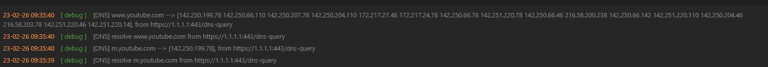 [Bug] 启用meta内核，DNS服务器通过代理节点通讯异常 · Issue #3043 · vernesong/OpenClash · GitHub