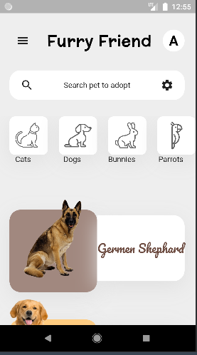 GitHub - anuj1317/pet_shop_ui_flutter
