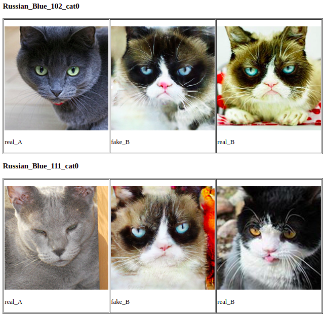 Confusing output with Demo · Issue #71 · taesungp/contrastive-unpaired ...