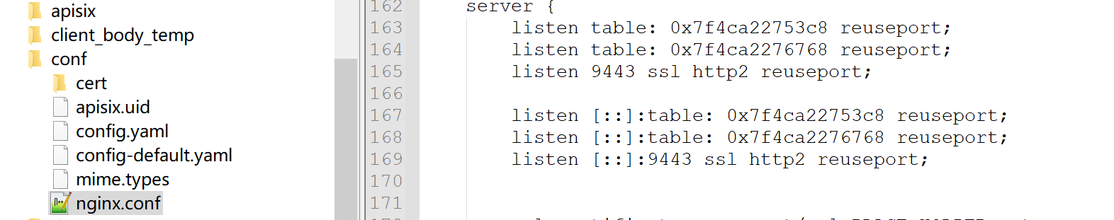request help: nginx: [emerg] invalid port in "table:" of the "listen" directive in ... · Issue ...