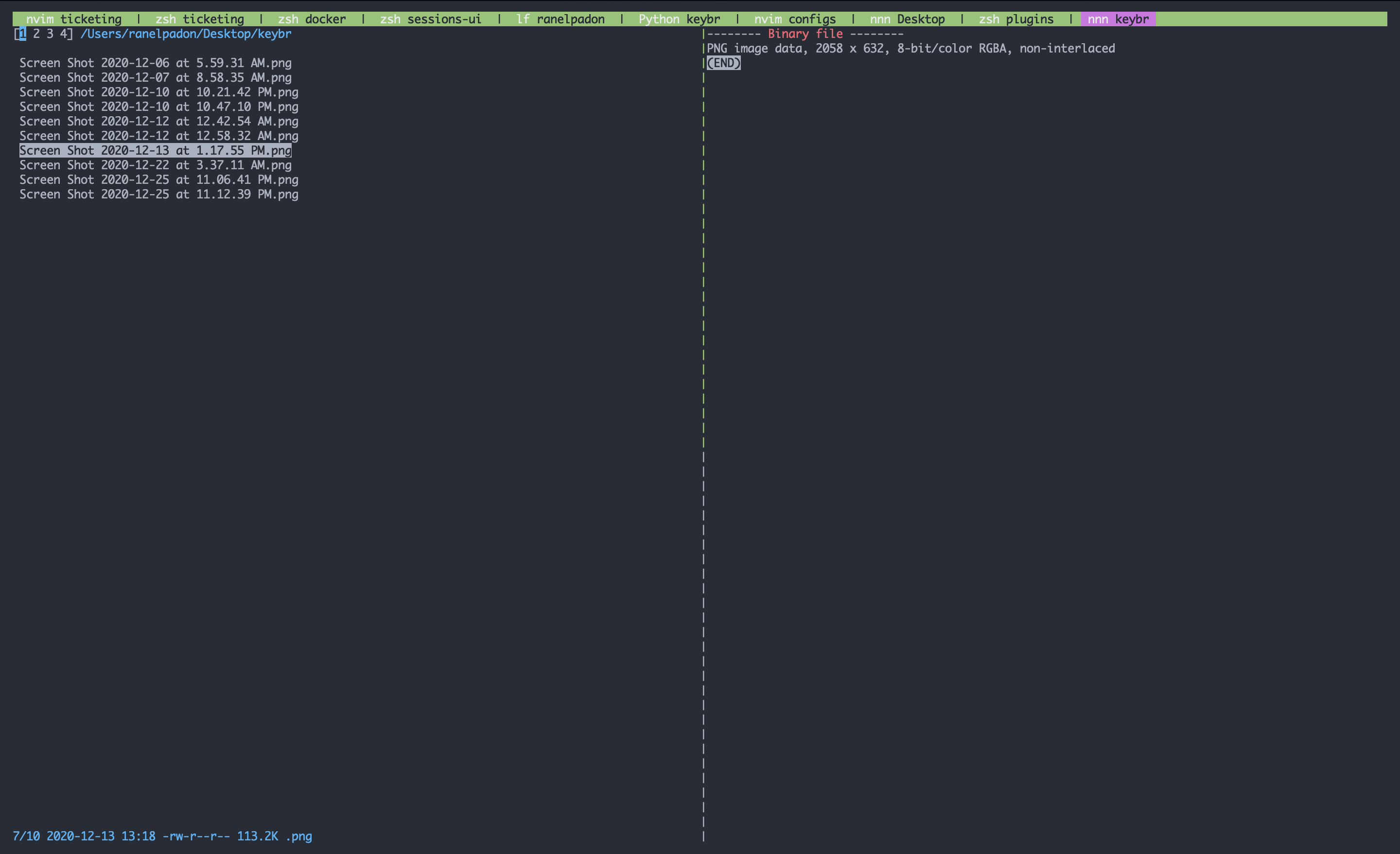 preview-tui does not work on MacOS · Issue #895 · jarun/nnn · GitHub