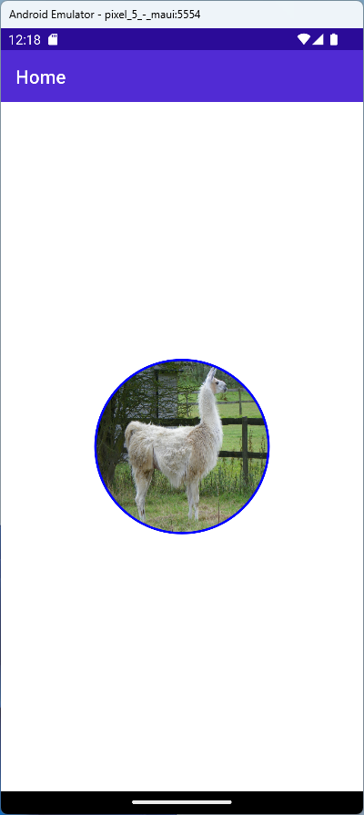 Border.StrokeShape clips content on Android, not iOS · Issue #13388 ...