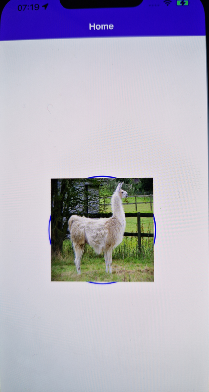 Border.StrokeShape clips content on Android, not iOS · Issue #13388 ...