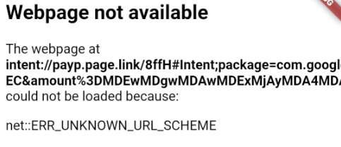 Intent error · Issue #114 · hisaichi5518/native_webview · GitHub