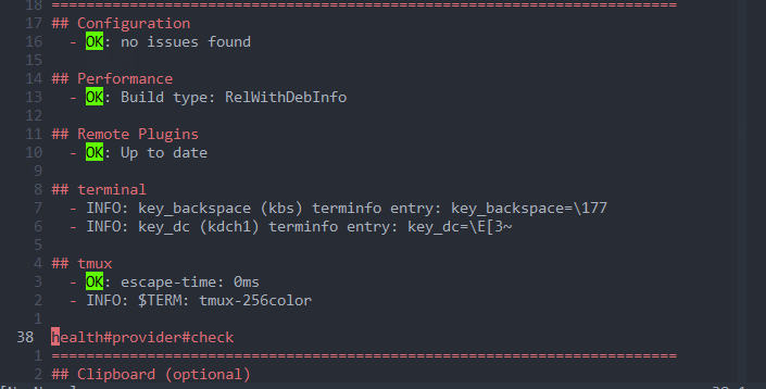 Checkhealth Shows Weird Info For Terminal · Issue 12404 · Neovim