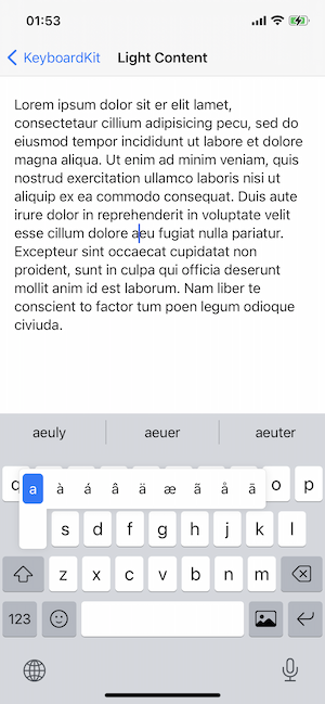 Display an input callout when long-pressing buttons · Issue #93 · KeyboardKit/KeyboardKit · GitHub
