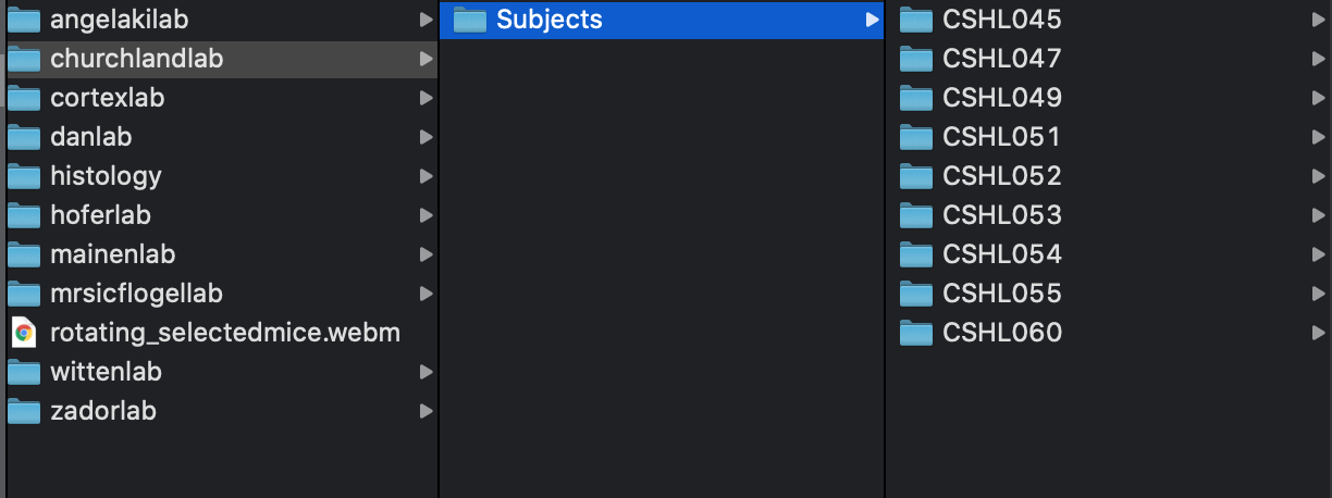 [Bug report] - Unable to use alf.io.load_object · Issue #196 · int-brain-lab/iblenv · GitHub