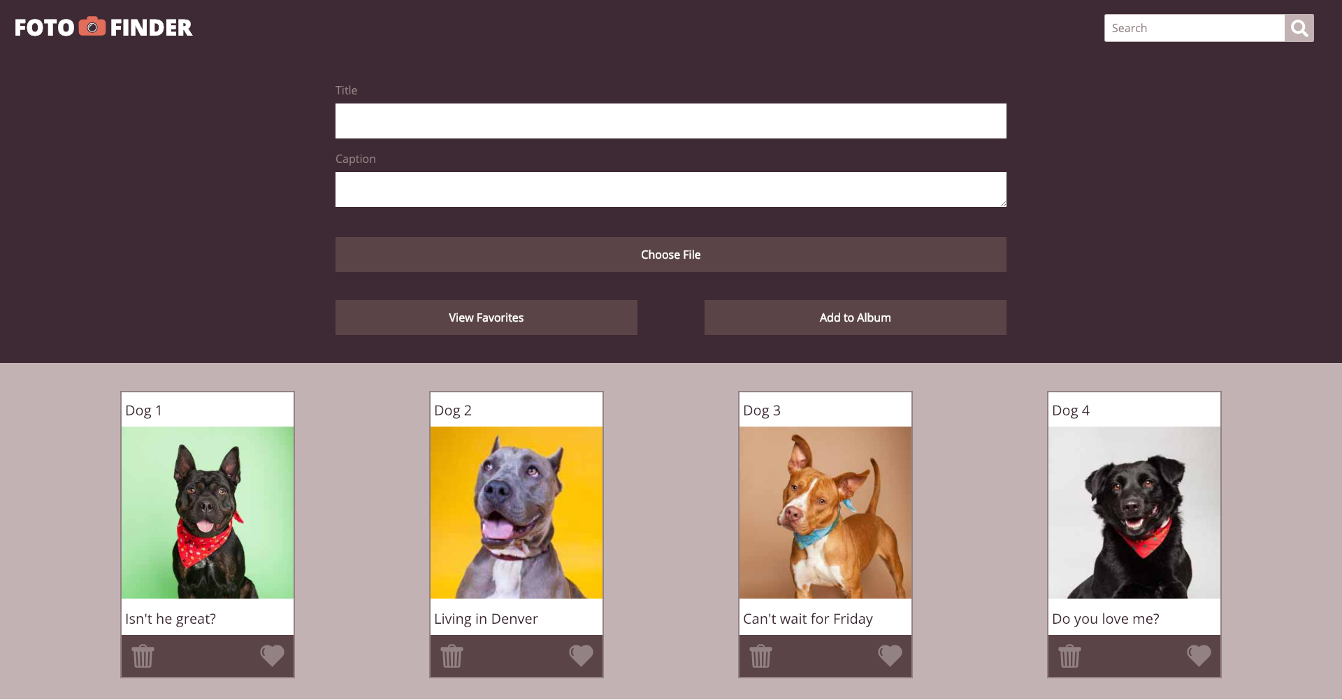 GitHub - kimmichurri/km-foto-finder