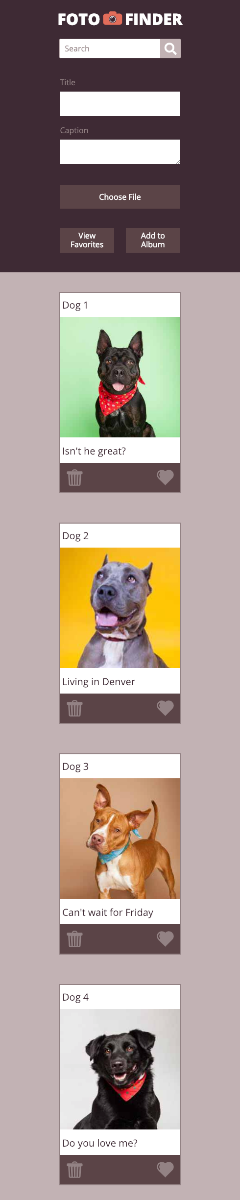 GitHub - kimmichurri/km-foto-finder