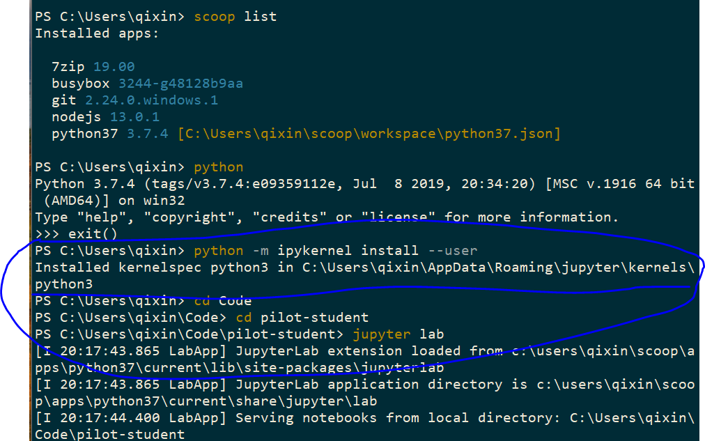 Error Starting Kernel · Issue 429 · Neoleepilot · Github 5315