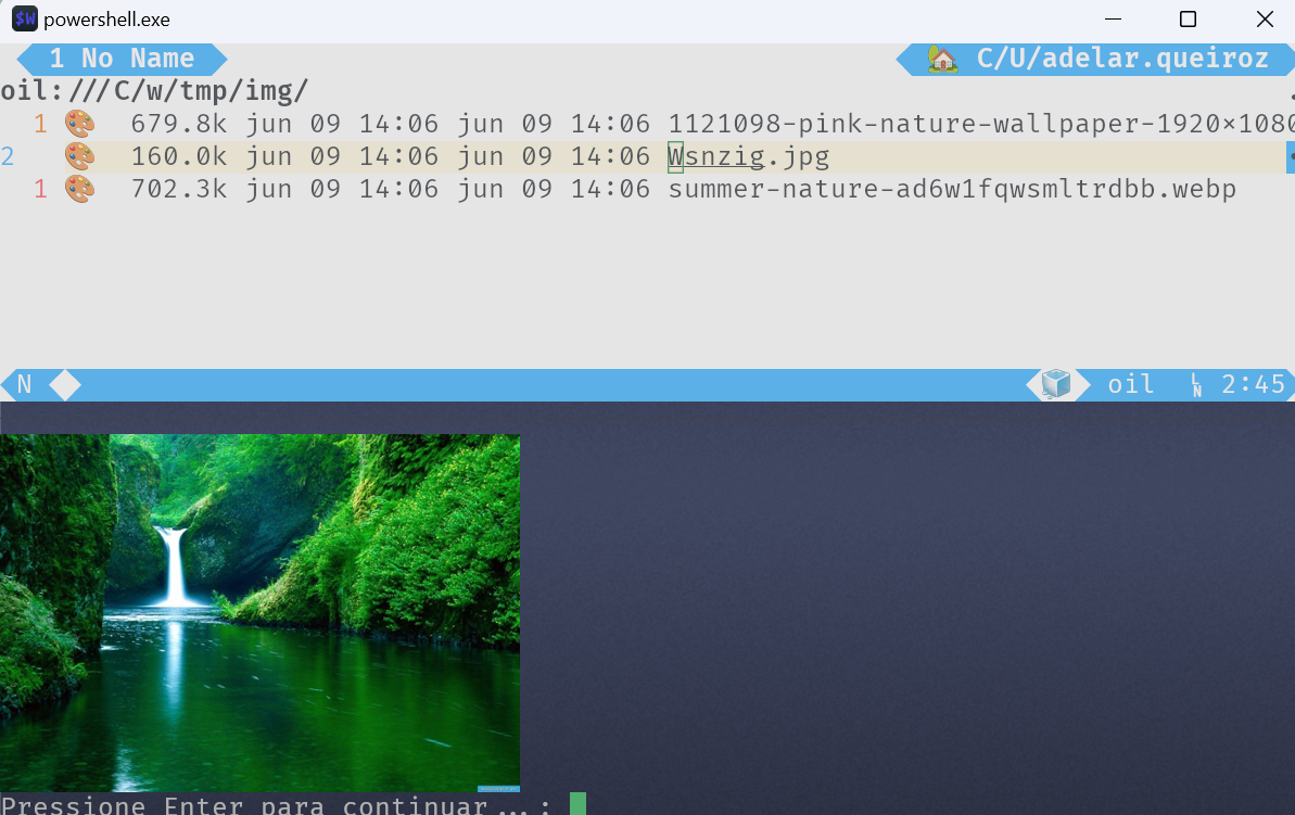 feature request: Support for Media File Previews · Issue #83 · stevearc ...