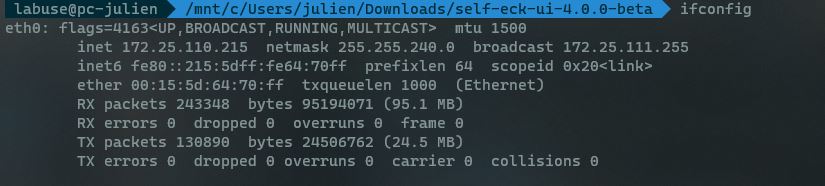 GitHub - jlnmrtn/self-eck-ui: A Web UI on top of ECK along with an easy k8s-like installation ...