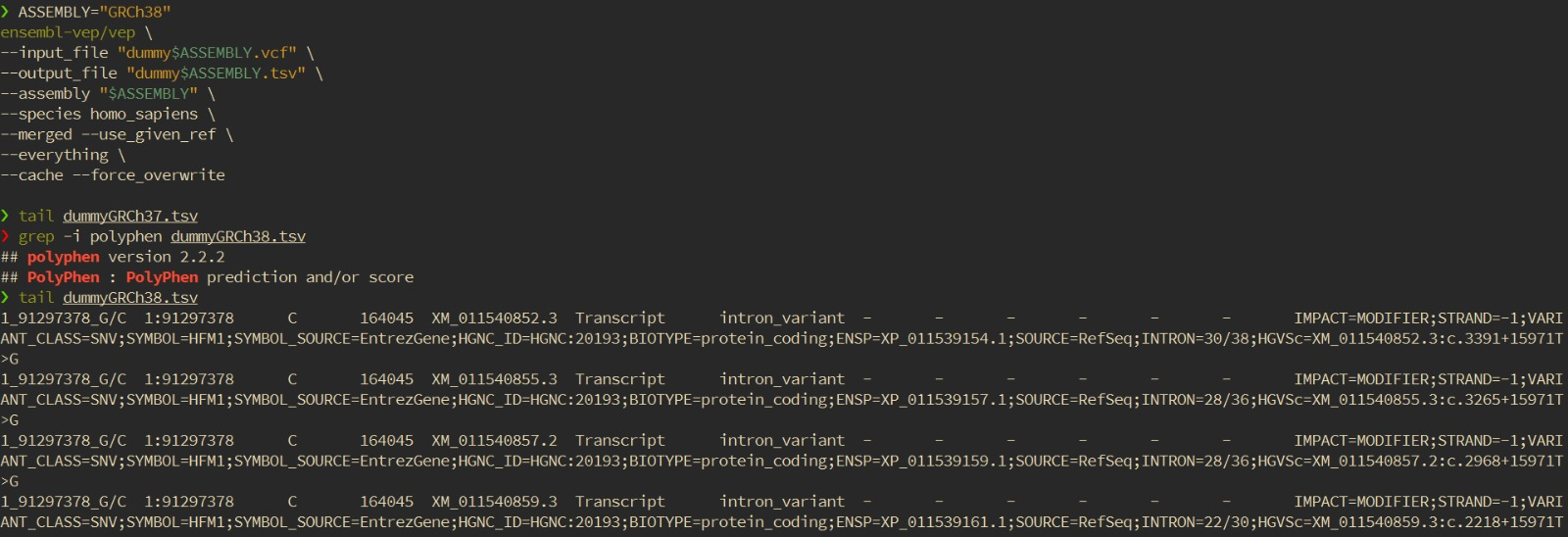 SIFT/PolyPhen getting disabled at GRCh37 · Issue #1296 · Ensembl/ensembl-vep · GitHub