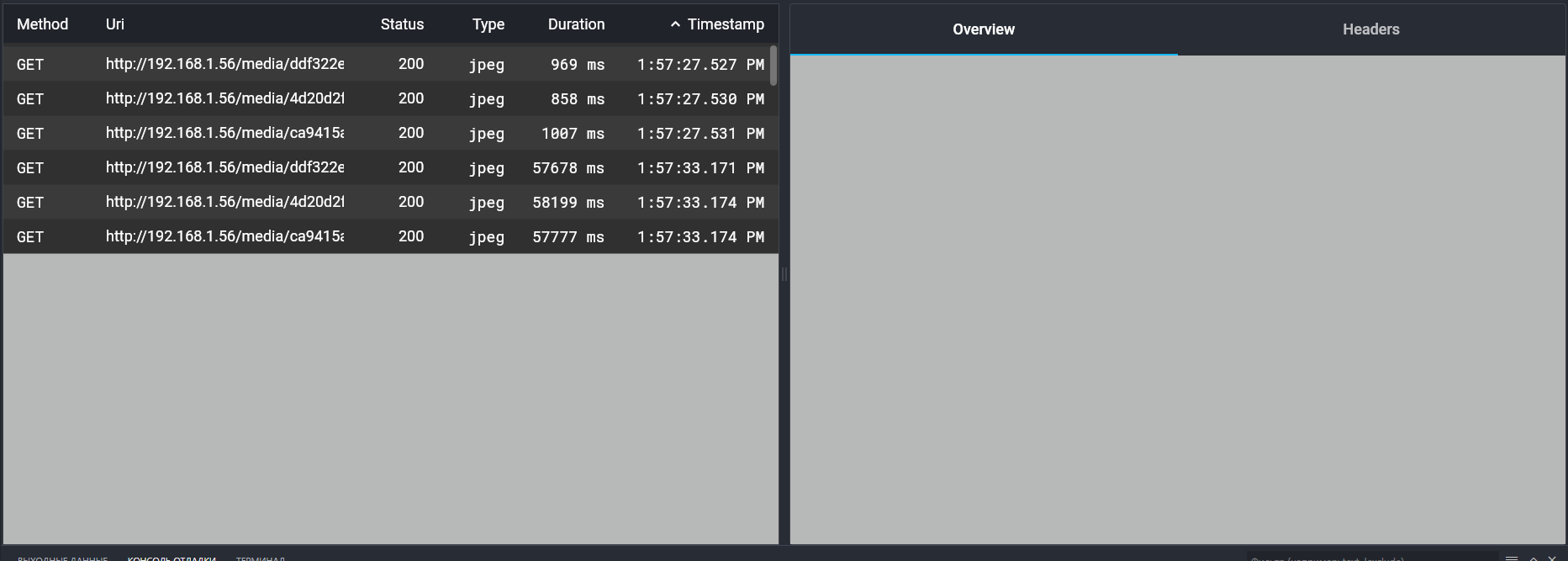 Network tab filled with gray and shows nothing · Issue #3940 · flutter/devtools · GitHub