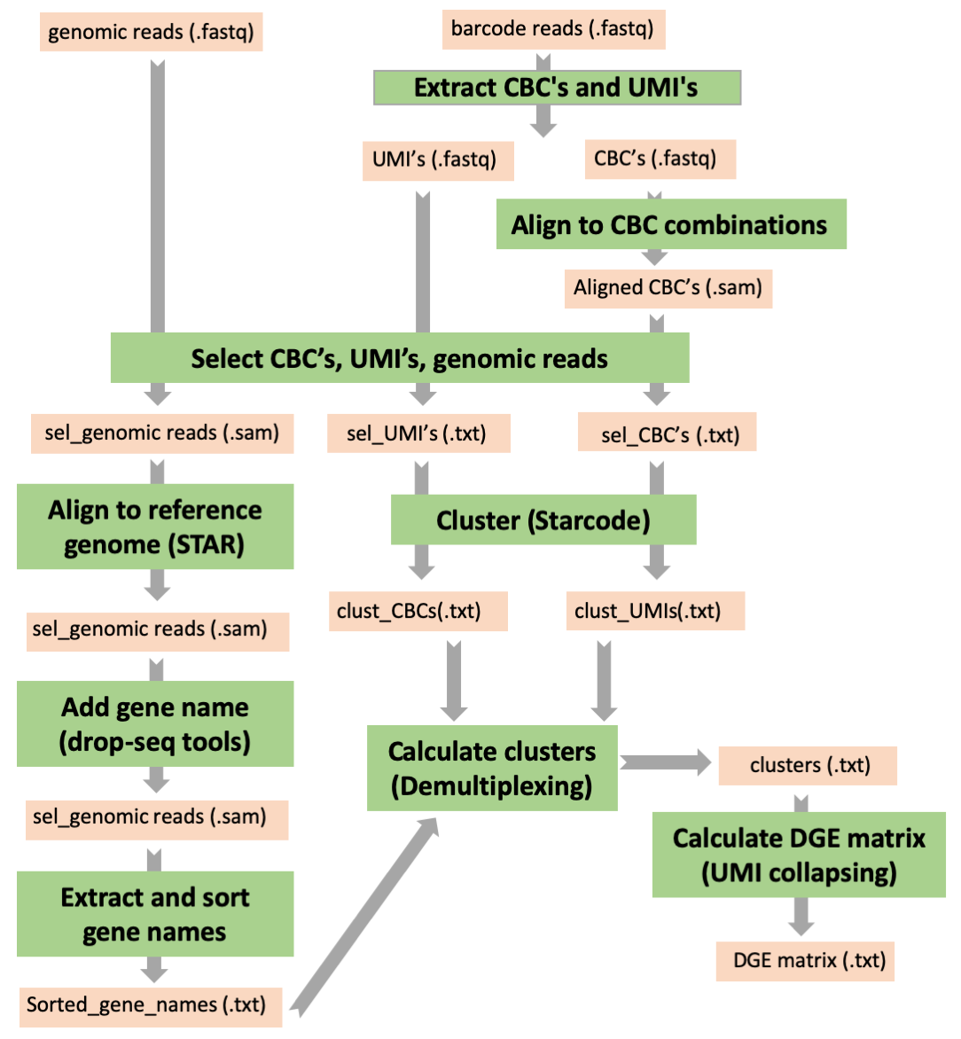 GitHub - rywet56/scRNA_seq_pipeline: pipeline to integrate SPLiT-seq data