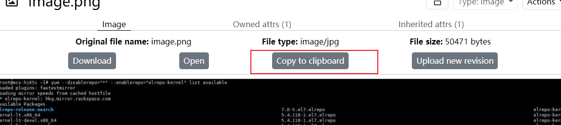 【Bug Report】 Cannot Copy Images from Trilium · Issue #1954 · TriliumNext/Trilium · GitHub