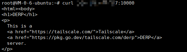【derper】How to judge whether a custom DERP server is working properly? · Issue #3110 · tailscale ...