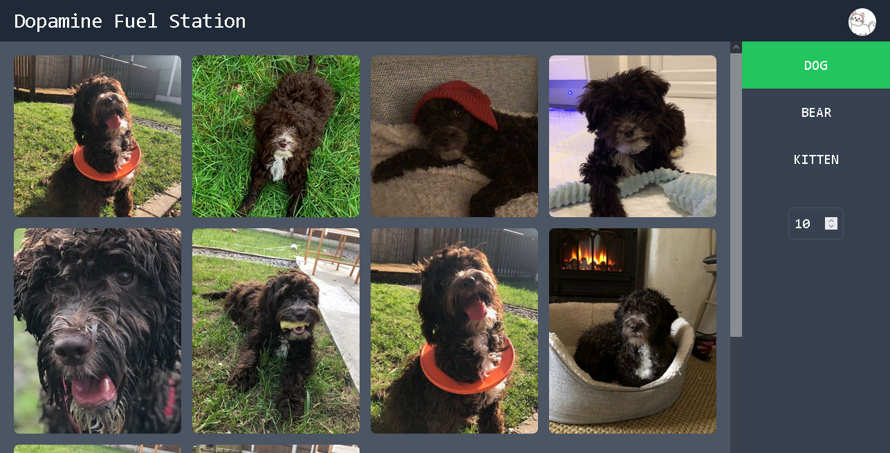 GitHub - Dev-AviSingh/dopamine-fuel-station: A reactjs + tailwind css web application that shows ...