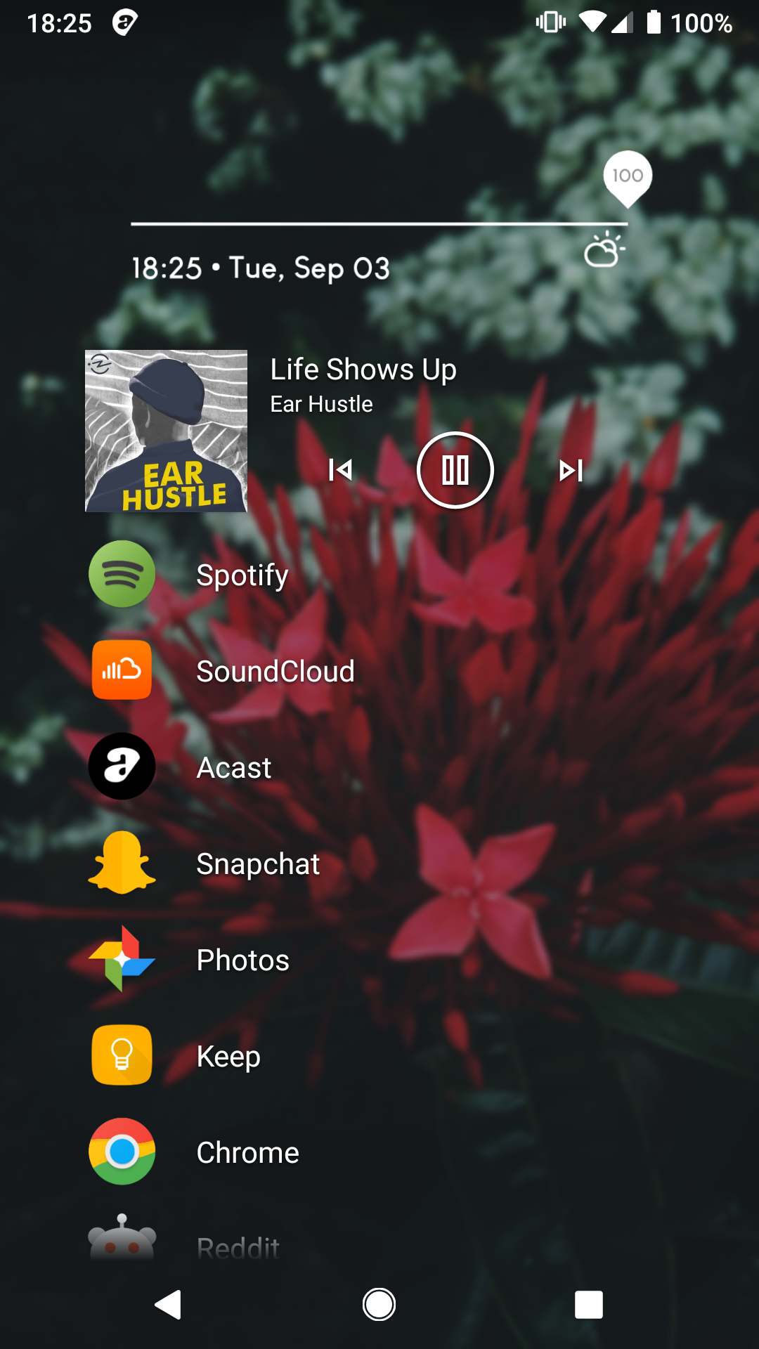 Acast media image, disappears when paused · Issue #980 · NiagaraLauncher/Niagara-Issues · GitHub