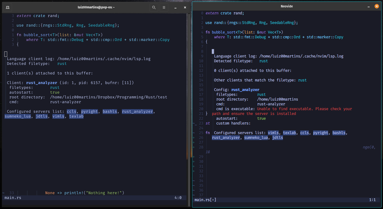 LSP on Neovide cannot find executable on `PATH`: `Unable to find executable. Please check your ...