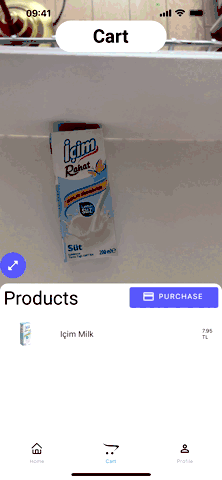 GitHub - aysilsimgekaracan/Smart-Shopping-Cart-System: My capstone ...