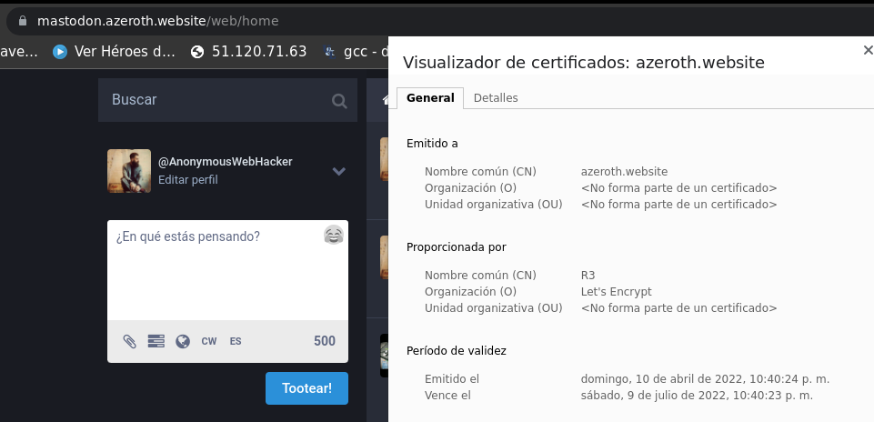 Login on Custom Mastodon Instance · Issue #207 · mastodon/mastodon-android · GitHub