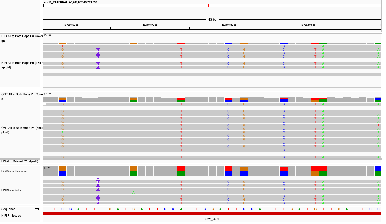 Issue: chr16_PATERNAL:45769608-45770549 · Issue #235 · marbl/HG002-issues · GitHub