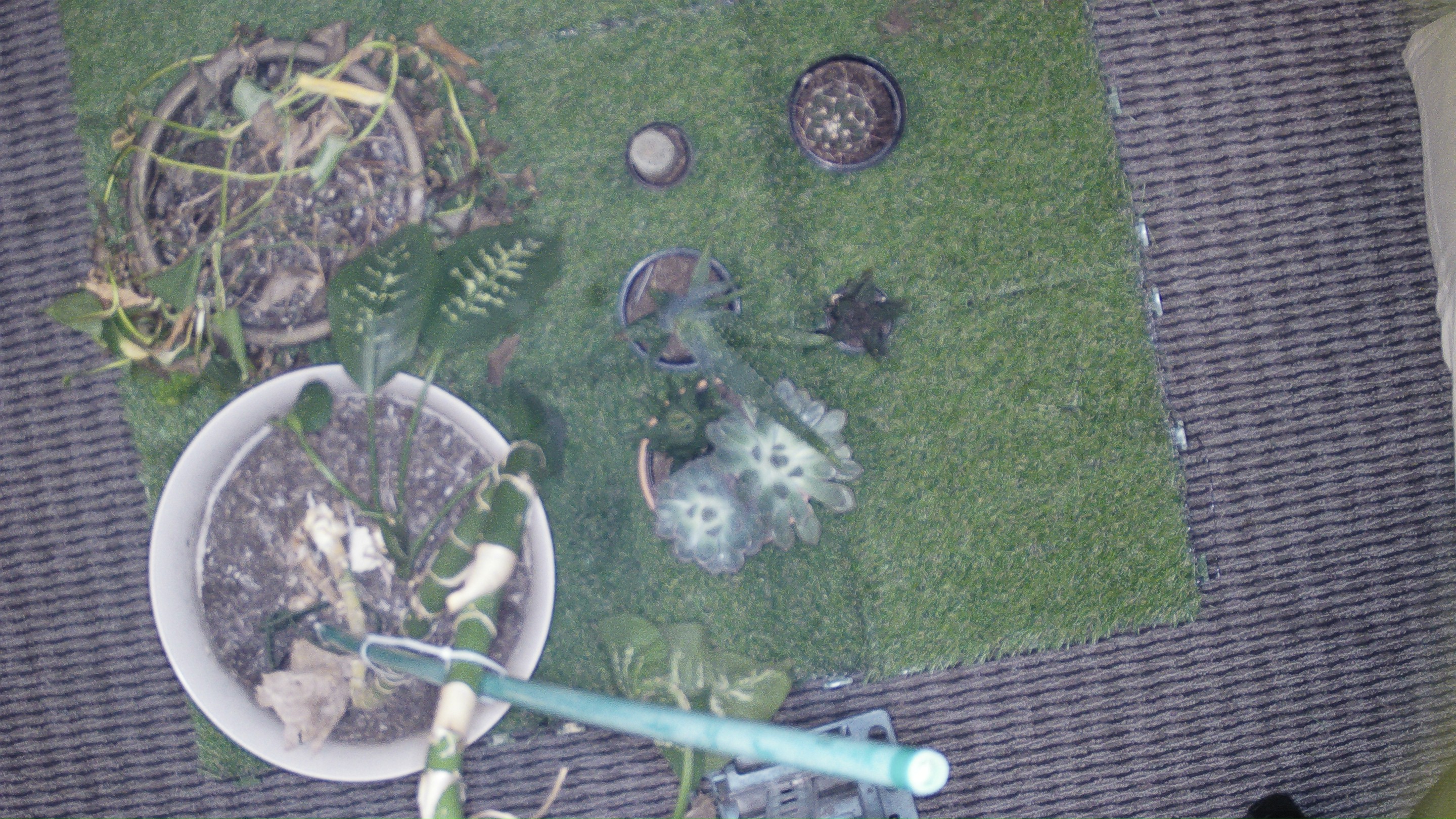 GitHub - Kawakon/ProSpera-Application: Python application to test ...