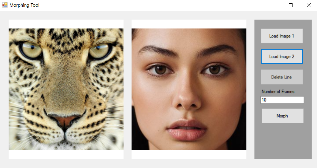 GitHub - ckim136/Image-morpher