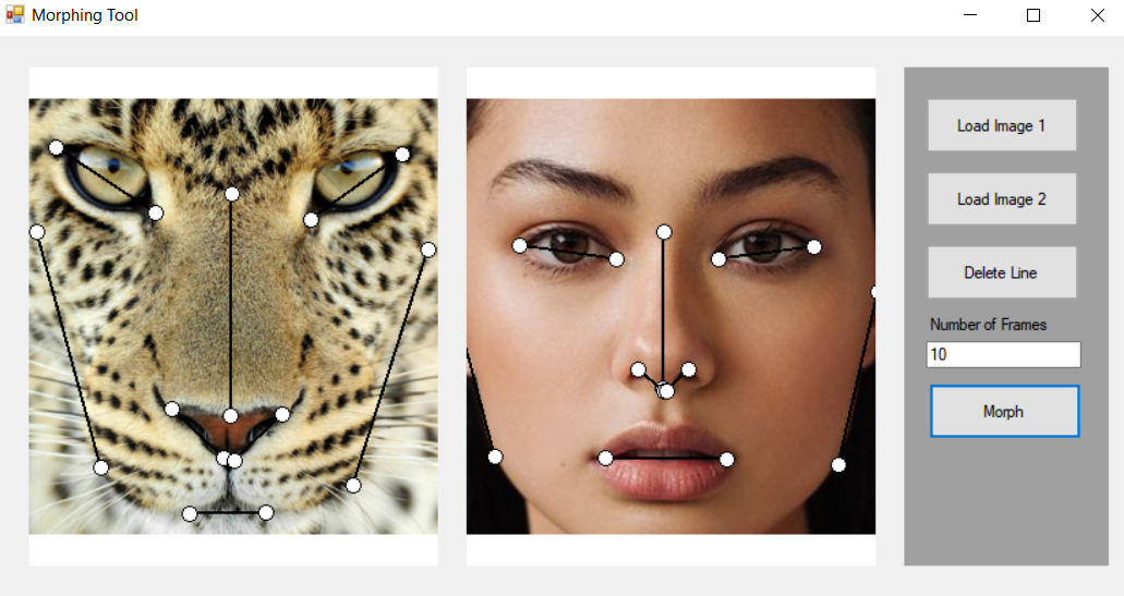 GitHub - ckim136/Image-morpher