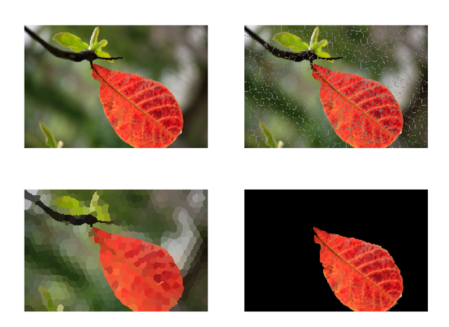 GitHub - vutuanhai237/AutoAligmentLeaf