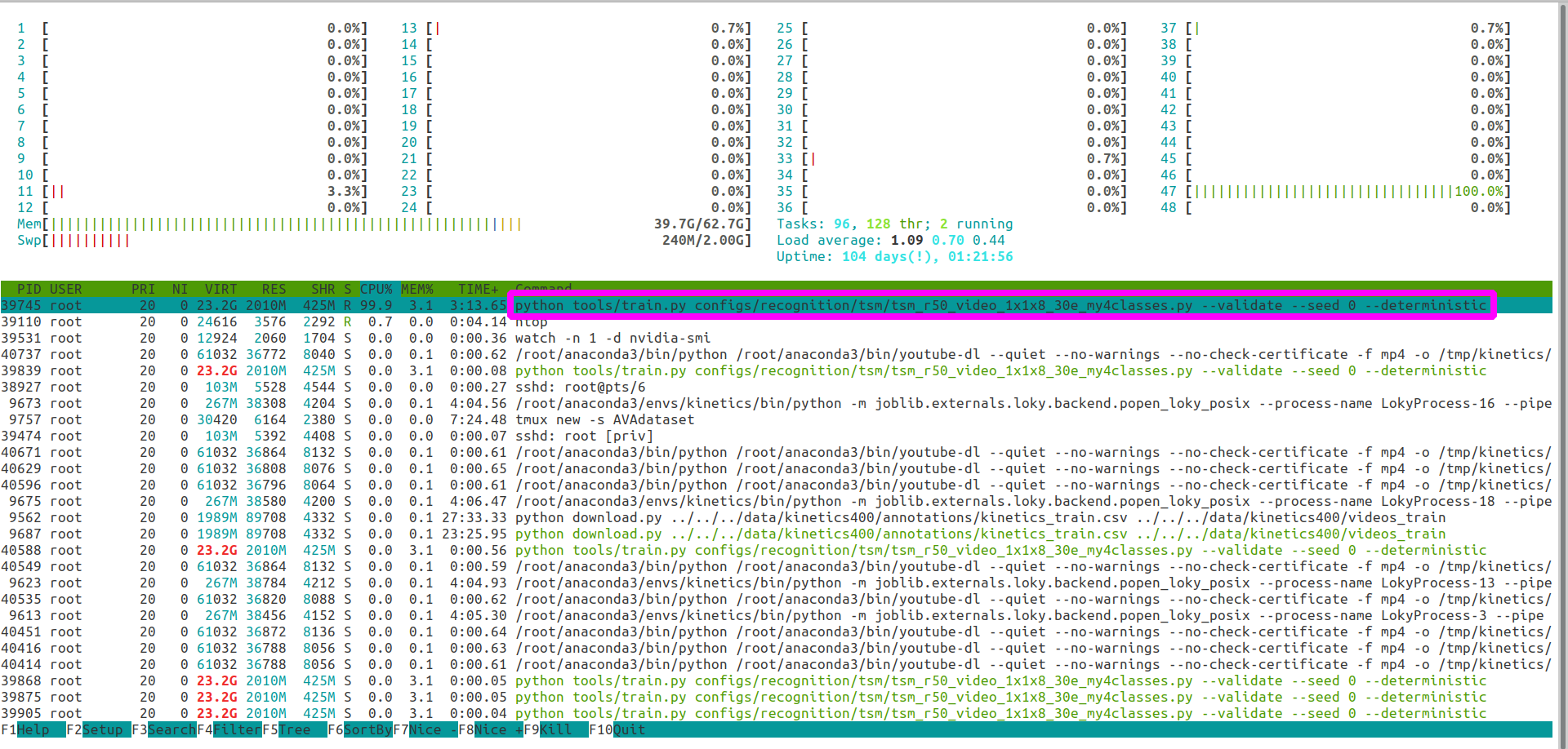 Training process stuck at the beginning · Issue #564 · open-mmlab/mmaction2 · GitHub